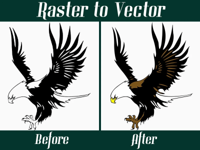 Raster converted to vector and vector tracing design service. | Upwork