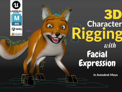 3d character Rigging with Facial expressions and organized controllers ...