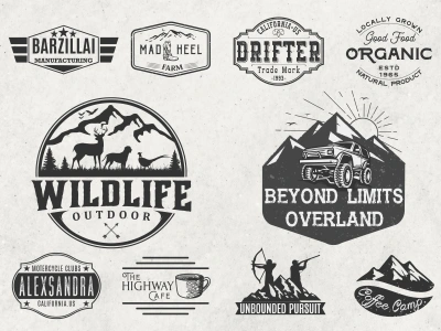 A timeless retro vintage logo designed for your business | Upwork