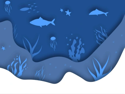 Papercut vector art in adobe illustrator | Upwork