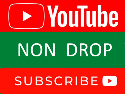 1000 Non-Drop Youtube Subscribers service for your channel | Upwork