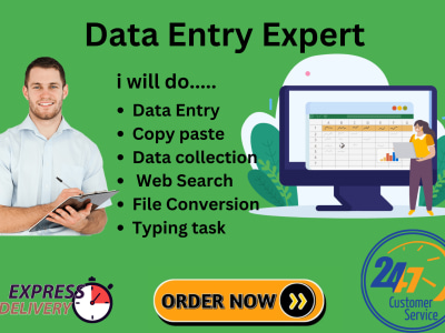 I will do accurate data, copy paste, web research, excel data entry ...