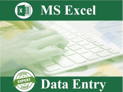 The services of excel data cleaning, spreadsheets, convert pdf to excel ...
