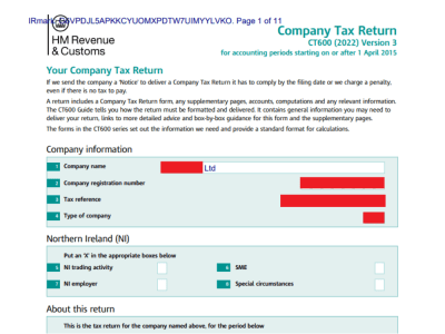 Uk Company Accounts & Tax Return CT600 preparation and fillings | Upwork