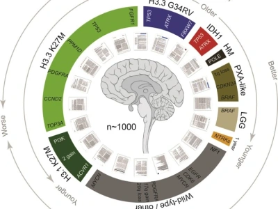Rob2 assessment, data extraction and screening for your meta-analysis ...