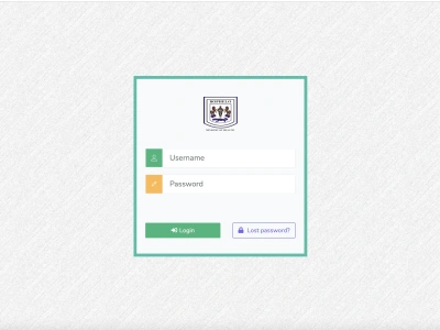 A dynamic web application to manage any activities of your business ...