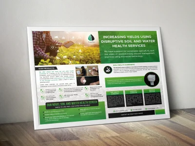 An extraordinary poster design | Upwork