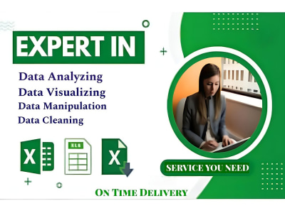 Excel Data Analyst| Data Cleaning| Data Visualization | Upwork