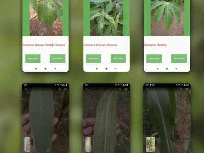 Professional machine learning, deep learning python services | Upwork