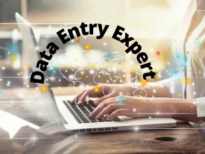 Professional Data Entry Expert | Upwork