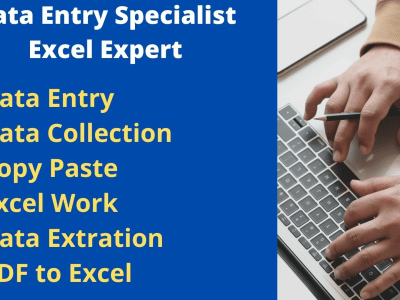 Excel data entry task with high accuracy and delivered within 24 hrs ...