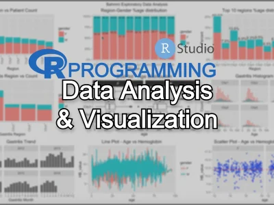 Data analysis and visualization using r and rstudio | Upwork