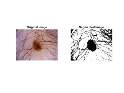 Help in machine learning | Upwork