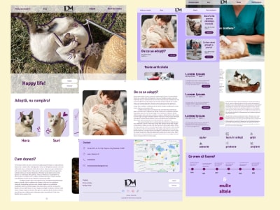 A stunning and efficient website design | Upwork