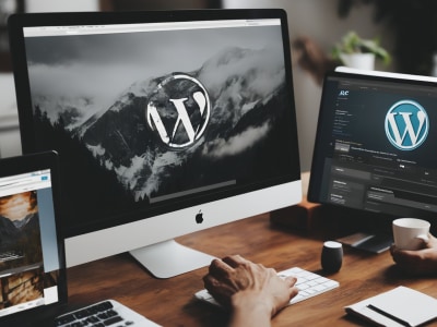 A WordPress website with custom theme using ACF Gutenberg Blocks & Tailwind | Upwork