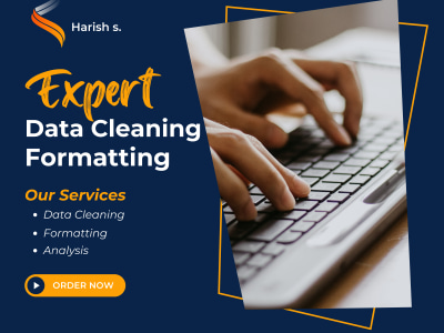 Expert Data Cleaning & Formatting Services (24 Hours) | Upwork