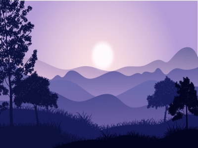 The custom flat vector illustration | Upwork