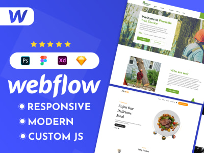 Modern Responsive webflow website, figma to webflow, webflow expert | Upwork