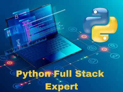 Full Stack Python Developer | Python Expert for your projects. | Upwork