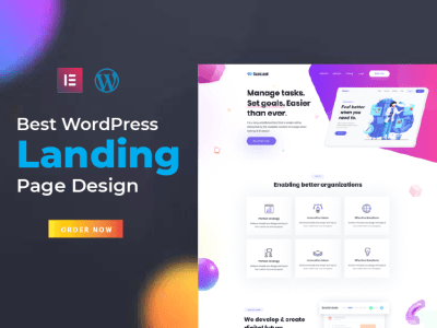 Wordpress Landing Page Expert Landing Page Developer Landing Page