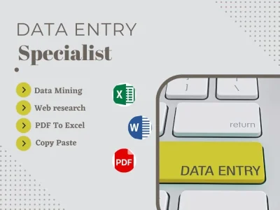 Data Entry, Data Mining, PDF to excel, data analysis and web research | Upwork
