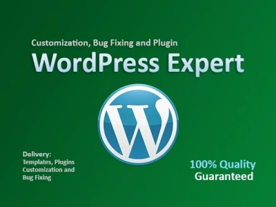 WordPress plugins, customization and maintenance | Upwork