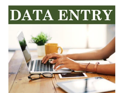 Precise data entry & manual typing service | Upwork