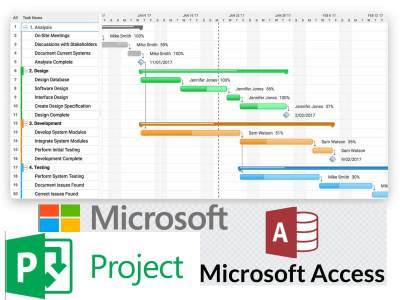 Microsoft project manager, Microsoft access specialist for your company ...