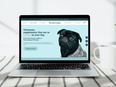 A ReactJS Frontend Web Application | Upwork