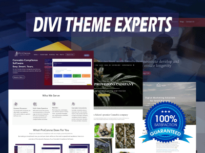 Divi| Divi Theme| Divi WordPress|Divi Expert| Divi Developer| Divi Designer | Upwork