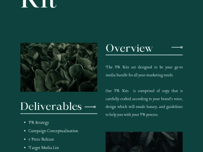 A complete luxury PR Kit for your business. | Upwork
