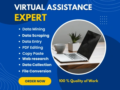 Data entry, copy paste, web research, file conversion | Upwork