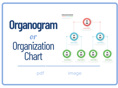 Detailed Organogram (Organizational Chart) with company reporting ...
