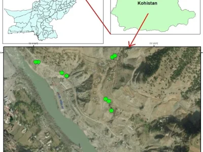 Amazing GIS maps according to your need | Upwork