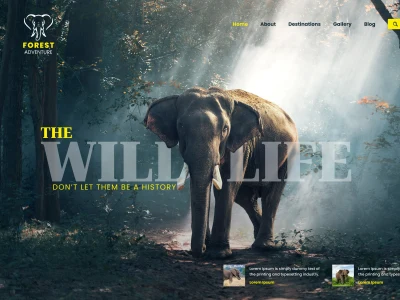 Website design, website mockup, wordpress landing page design | Upwork