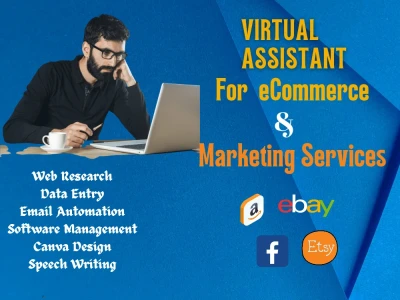 Magnificent e-commerce Virtual Assistant for your business | Upwork