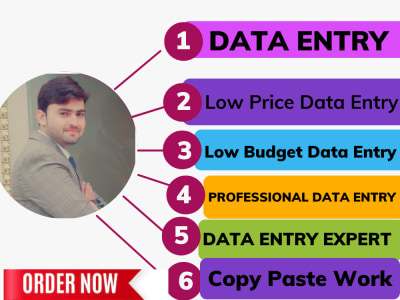 Professional All Type Data Entry Service in low price low budget Data ...