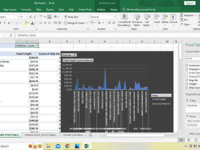 Excel pivot table with chart | Upwork