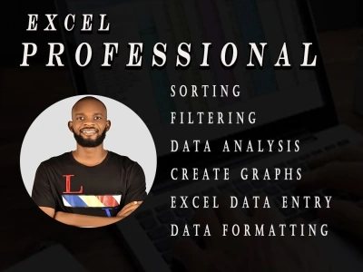 Data cleanup data analysis excel formatting excel data entry data merge | Upwork