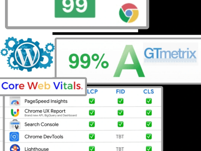 Wordpress website speed optimization, increased SERP & pass core web vitals | Upwork
