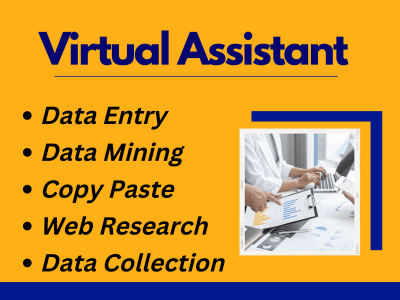 Data Entry, Data Mining, Data Collection & web research VA | Upwork