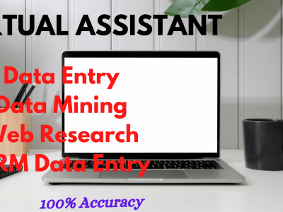 Dedicated and professional Virtual Assistant for your data entry projects | Upwork