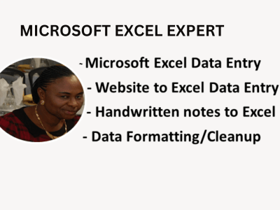 Microsoft Excel Data Entry Services Online | Upwork
