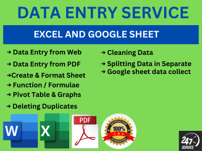 Professional excel data entry, cleaning and formatting service. | Upwork