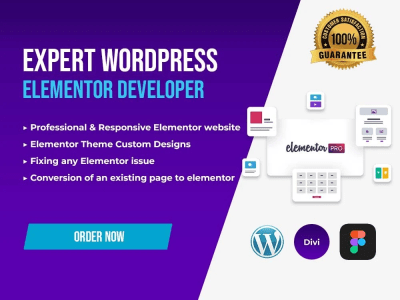 Professional & Responsive WordPress Elementor Website with Appealing Design | Upwork