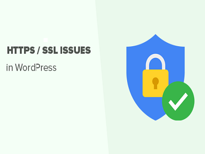 Your Wordpress Website SSL Issues Fixed | Upwork
