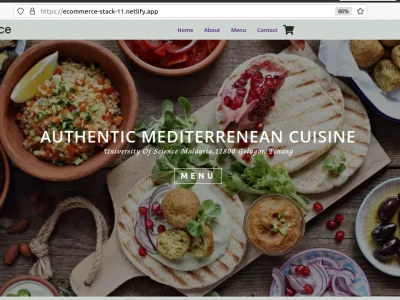 Responsive React, Next, Angular, MEAN, MERN, MEVN Full Stack applications | Upwork
