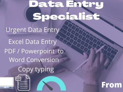 Accurate excel data entry and data entry job as a data entry beginner ...