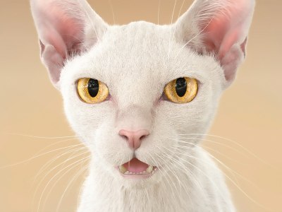 3d animal animation, 3d animal model, realistic fur, xgen, rig ...