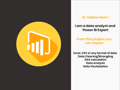 A professional Power BI Dashboard | Upwork